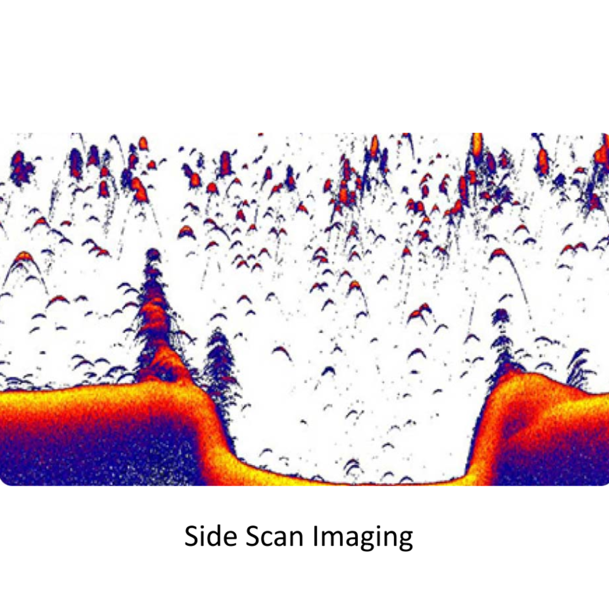 Elite Fs 12" Gps/Fishfinder W/Ai Transducer + Chart | Smart Marine
