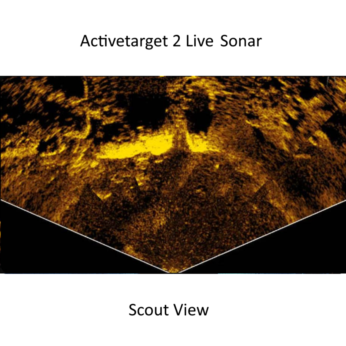 Elite Fs 12" Head Unit Only W/Chart (No Transducer) | Smart Marine