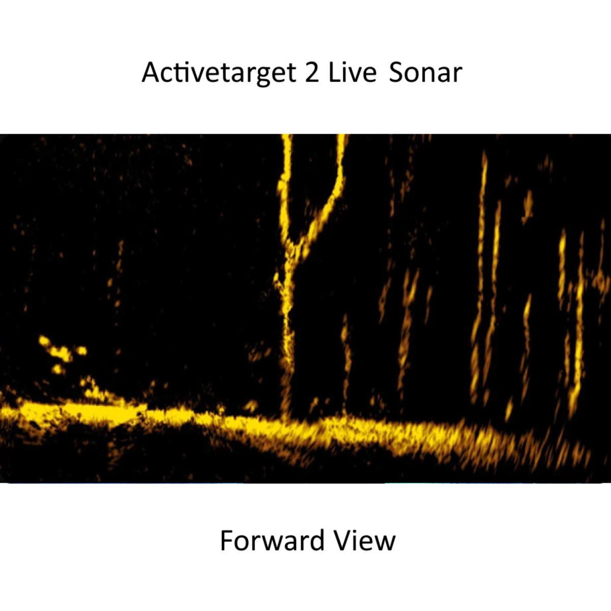 Elite Fs 12" Gps/Fishfinder W/Tm260 1Kw Transducer + Chart | Smart Marine