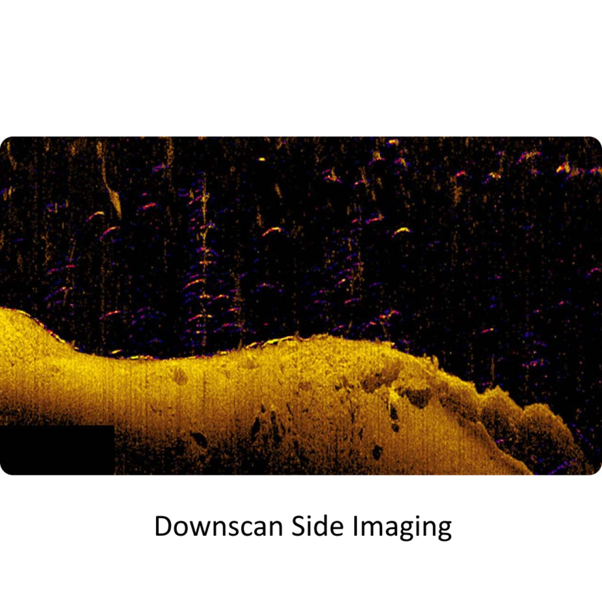 Elite Fs 12" Head Unit Only W/Chart (No Transducer) | Smart Marine